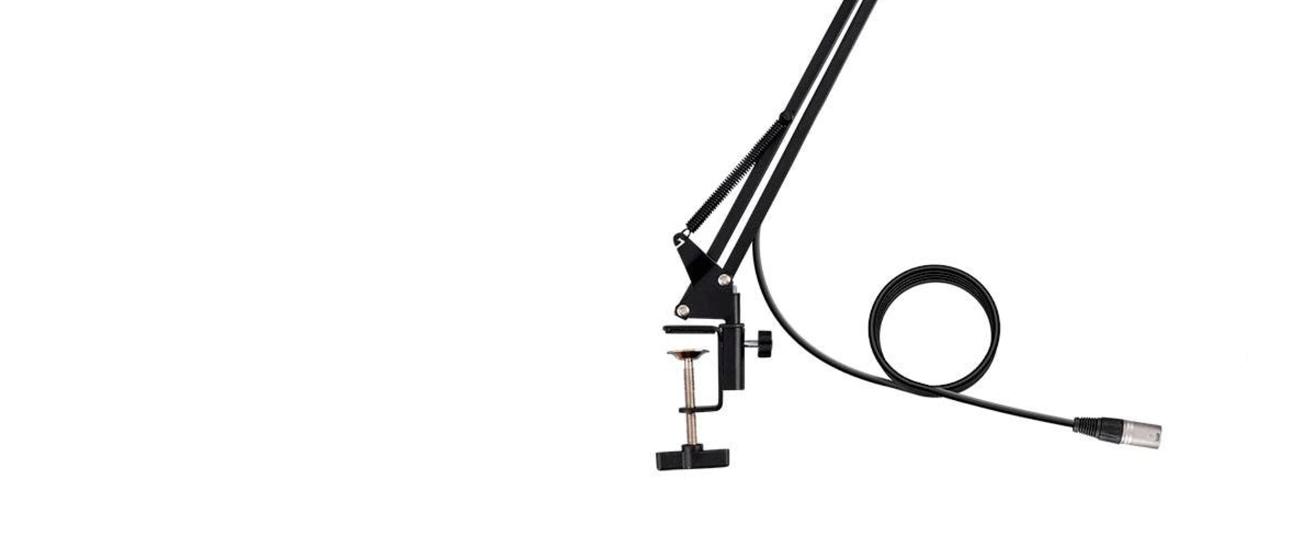 Exploring Microphone Stands and Cables